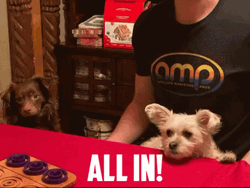 All In GIFs | GIFDB.com