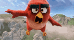 Angry Birds GIFs | GIFDB.com