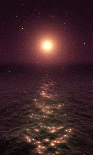 Aesthetic Ocean Sunset GIF | GIFDB.com
