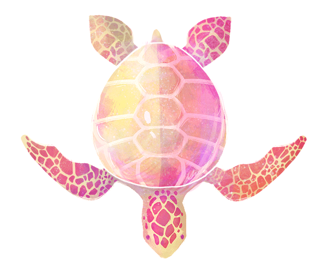 Aesthetic Turtle Pink Watercolor Animation