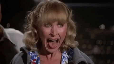 Airplane Movie Lee Terri Screaming GIF | GIFDB.com