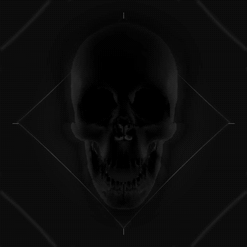 All Black Skull Silhouette Loop GIF | GIFDB.com