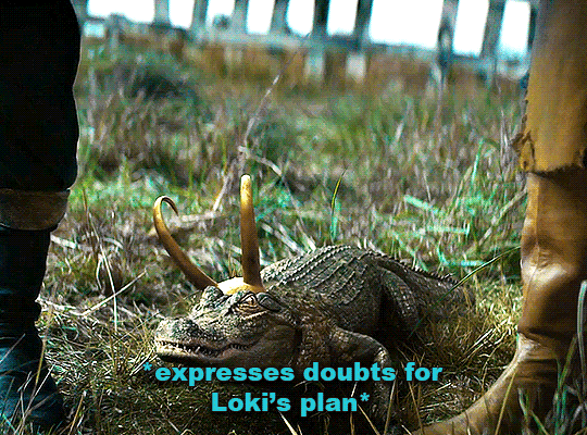 Alligator Loki Heads Up Doubt Funny Meme GIF | GIFDB.com