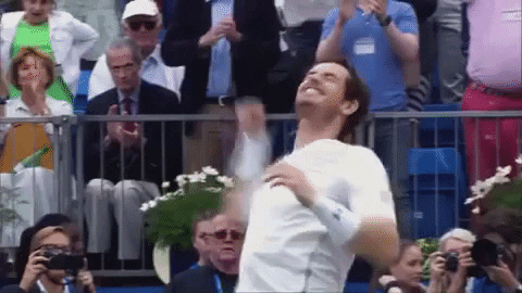 Andy Murray Throwing Fist GIF | GIFDB.com