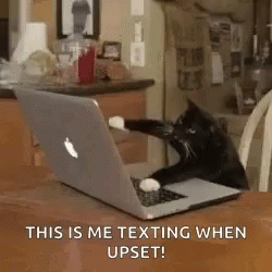 Angry Cat Typing Fast Laptop Meme GIF | GIFDB.com
