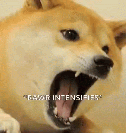 Angry Dog Rawr Intensifies Doge Meme GIF | GIFDB.com