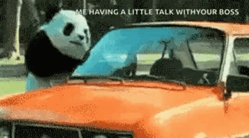 Angry Panda Bad Boss GIF | GIFDB.com