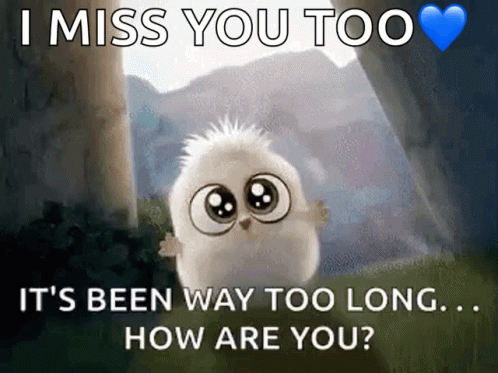 Animated Cute Baby Owl Miss You Too GIF | GIFDB.com