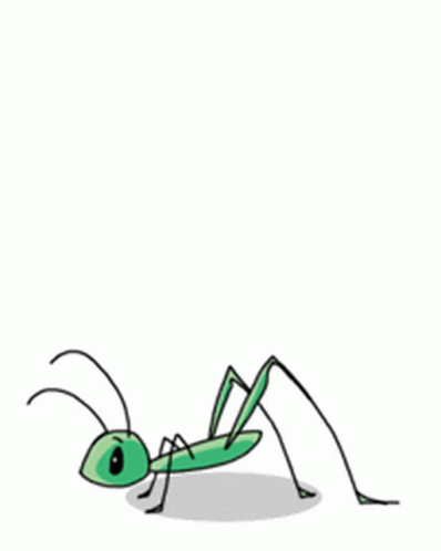 Animated Insect Grasshopper GIF | GIFDB.com