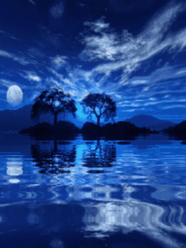 Animated Lake Water And Trees GIF | GIFDB.com