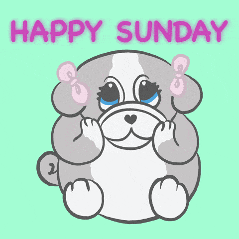 Animated Puffy Eyed Dog Happy Sunday Design GIF | GIFDB.com