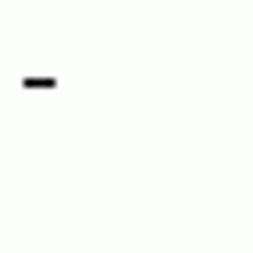 Animated Typing Words No U GIF | GIFDB.com