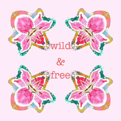 Animated Wild And Free GIF | GIFDB.com