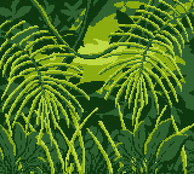 Artsy Green Fern Plant Moving