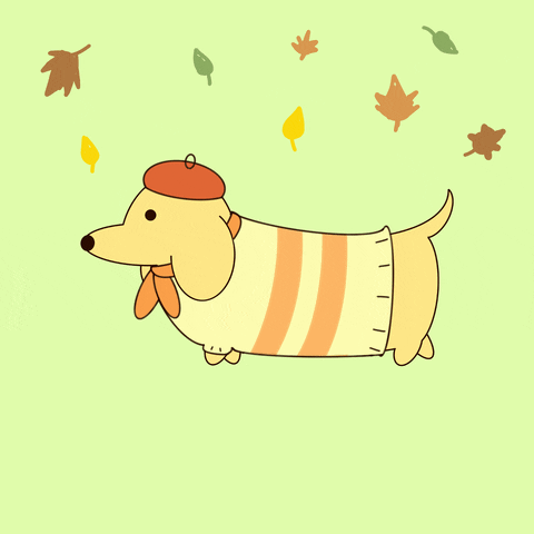 Autumn Dachshund Dog GIF | GIFDB.com