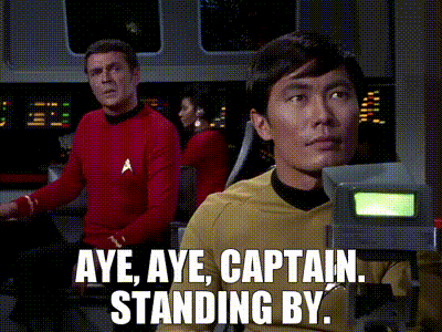 Aye Aye Captain Standing By GIF | GIFDB.com