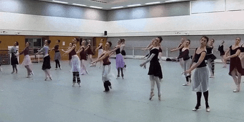Ballet Arabesque Training GIF | GIFDB.com