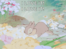 Bambi Film Thumber The Rabbit Love It GIF | GIFDB.com