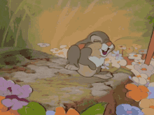 Bambi Thumper Cute Rabbit Laughing GIF | GIFDB.com