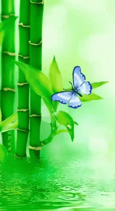 Bamboo Butterfly GIF | GIFDB.com