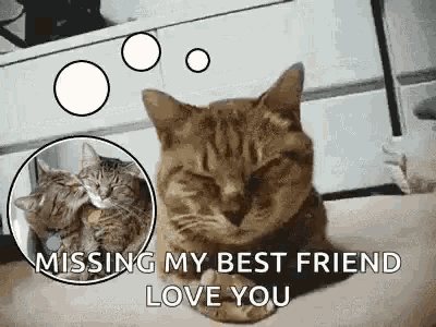 Best Friends Missing You Love You GIF | GIFDB.com