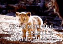 Blessed Good Morning Lion Roar GIF | GIFDB.com