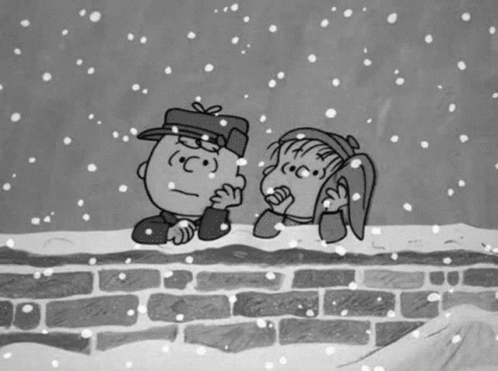 Blizzard 498 X 371 Gif GIF | GIFDB.com