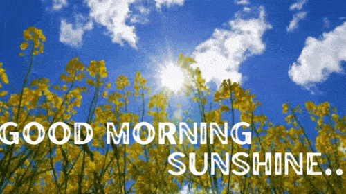 Bright Day Good Morning Sunshine Yellow GIF | GIFDB.com