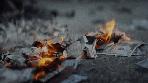 Burning Money Ashes Flames Coals GIF | GIFDB.com