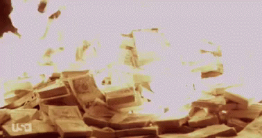 Burning Money Bright Lights Flaming GIF | GIFDB.com