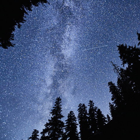 Burning Shooting Night Forest GIF | GIFDB.com
