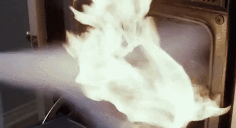 Burning Turkey Meme GIF | GIFDB.com