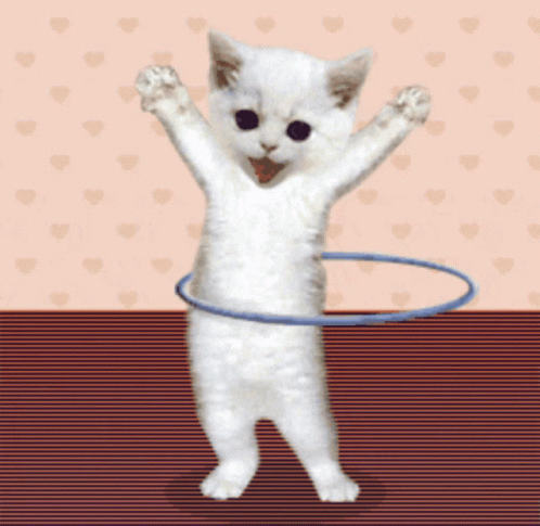 Cat Dance With Hula Hoop Animation GIF | GIFDB.com