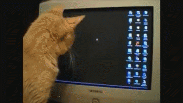 Cat Distracted With Computer Mouse Cursor GIF | GIFDB.com