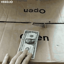Cat Surprise Box Money Money Money GIF | GIFDB.com