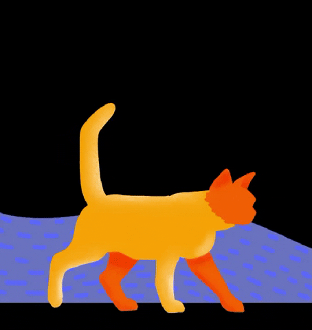 Cat Walking Animation Stars Waves GIF | GIFDB.com