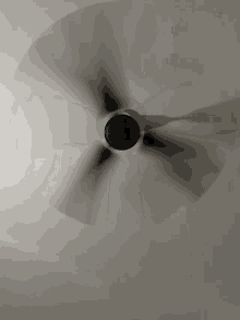 Ceiling Fan Blades Spinning GIF | GIFDB.com