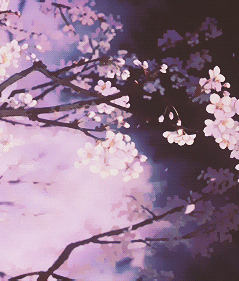 Cherry Blossom Aesthetic Pfp GIF | GIFDB.com