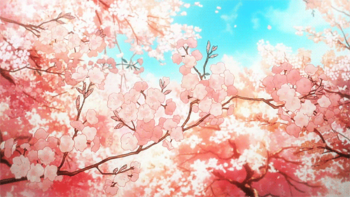 Cherry Blossom Anime Windblown GIF | GIFDB.com