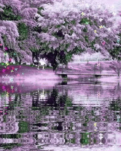 Cherry Blossom River Reflections GIF | GIFDB.com
