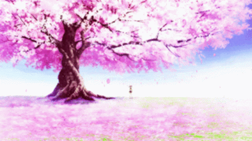 Cherry Blossom Sakura Tree Fall Beautiful GIF | GIFDB.com