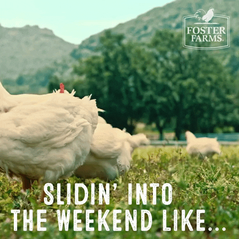 Chicken Dance Sliding Into The Weekend GIF | GIFDB.com