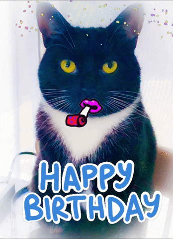 Chill Birthday Cat Blowing Horn GIF | GIFDB.com