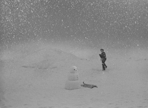 Citizen Kane Snowball Throwing GIF | GIFDB.com