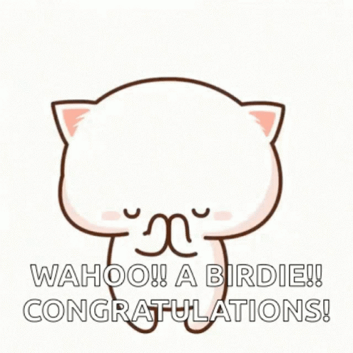 Congratulations Lovable Cat GIF | GIFDB.com