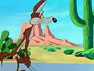 Coyote Cartoon Jaw Drop GIF | GIFDB.com