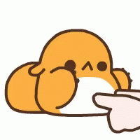 Cute Squishy Squirrel Belly Poke GIF | GIFDB.com