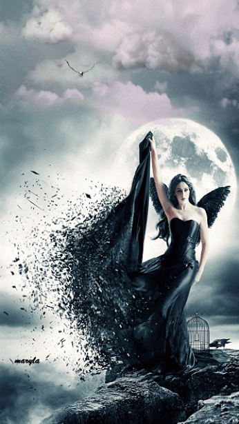 Dark Angel Under The Moonlight