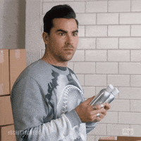 David Rose What Angry Expression GIF | GIFDB.com