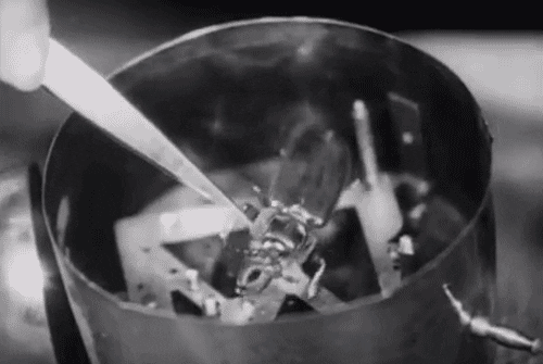 Dead Cockroach Experiment GIF | GIFDB.com